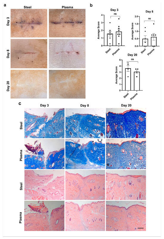 Evaluating the Healing Potential of J-Plasma Scalpel-Created Surgical Incisions in Porcine and ...
