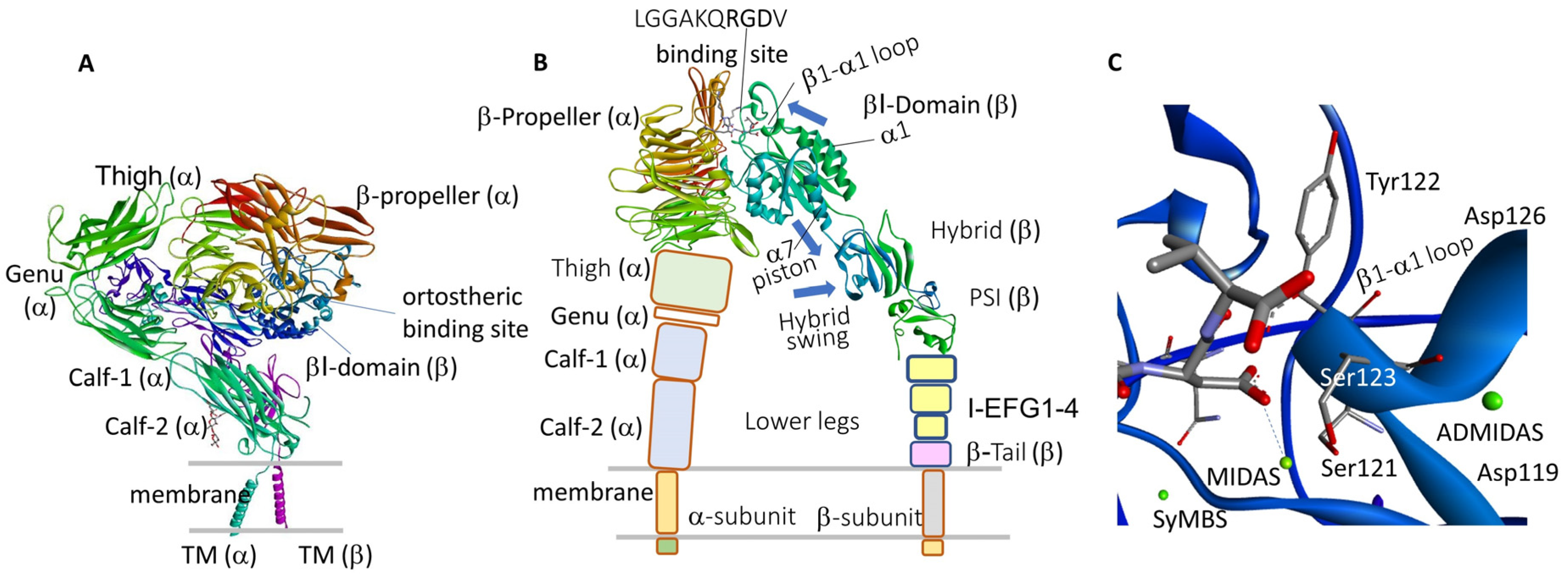 Conjecturing about Small-Molecule Agonists and Antagonists of α4β1 ...