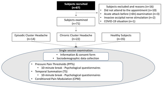 Biomedicines | Free Full-Text | Hyperalgesia, Increased Temporal Summation and Impaired ...