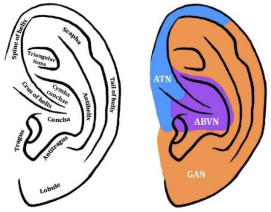Transcutaneous Auricular Vagus Nerve Stimulation to Improve Emotional State