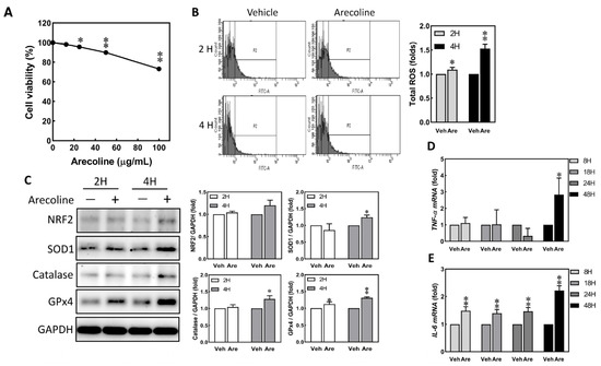 Arecoline Induces ROS Accumulation, Transcription of Proinflammatory ...