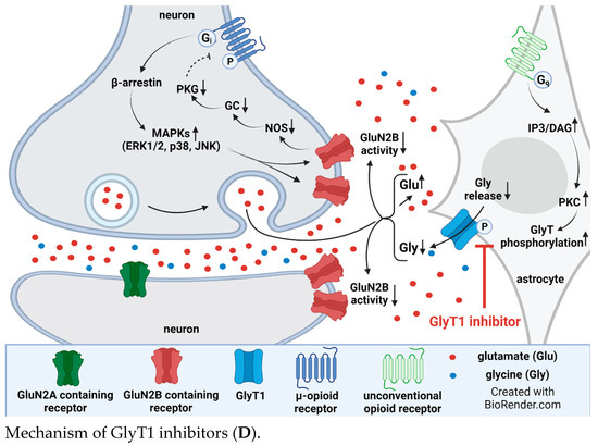 Glycine Transporter 1 Inhibitors: Predictions on Their Possible ...