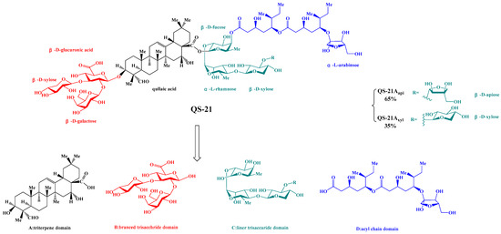 Design and Synthesis of Immunoadjuvant QS-21 Analogs and Their ...