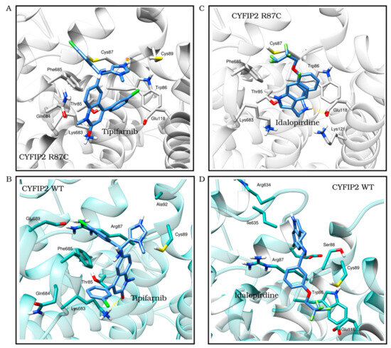 Identification of CYFIP2 Arg87Cys Ligands via In Silico and In Vitro ...