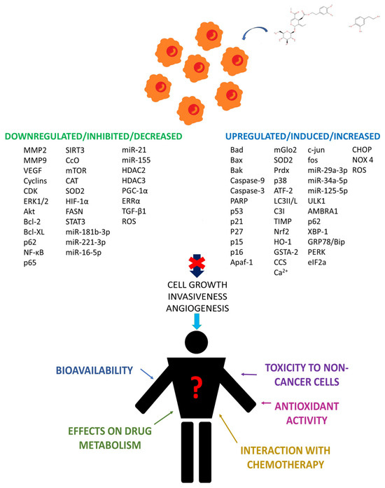 Use of Oleuropein and Hydroxytyrosol for Cancer Prevention and ...