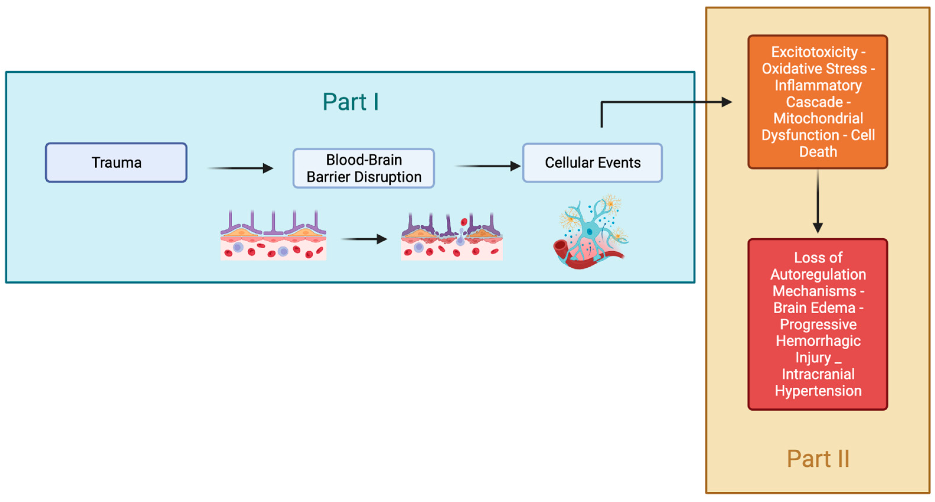 Pathophysiology-Based Management of Secondary Injuries and Insults in TBI
