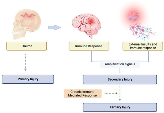 Pathophysiology-Based Management of Secondary Injuries and Insults in TBI