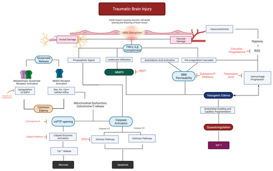 Pathophysiology-Based Management of Secondary Injuries and Insults in TBI