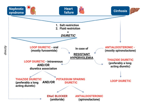 Nephrotic Syndrome: From Pathophysiology to Novel Therapeutic Approaches