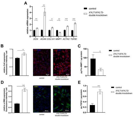 Xylosyltransferase-Deficiency in Human Dermal Fibroblasts Induces ...