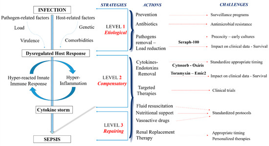 In Vitro Simulated Hemoperfusion on Seraph®-100 as a Promising Strategy ...