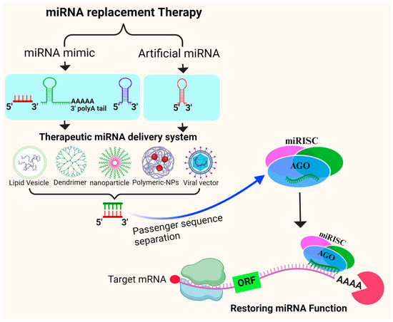 Biomedicines | Free Full-Text | Functions of Differentially Regulated miRNAs in Breast Cancer ...