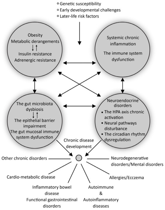 Putting Functional Gastrointestinal Disorders within the Spectrum of ...