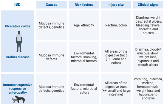 A Comprehensive Exploration of Therapeutic Strategies in Inflammatory ...