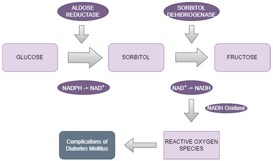 Aldose Reductase as a Key Target in the Prevention and Treatment of ...