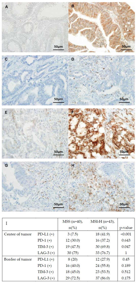 Biomedicines | Free Full-Text | The Expression Patterns of Immune ...