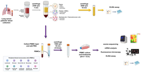 PBMCs as Tool for Identification of Novel Immunotherapy Biomarkers in Lung Cancer