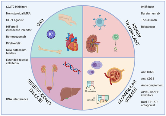 Improving Kidney Disease Care: One Giant Leap for Nephrology