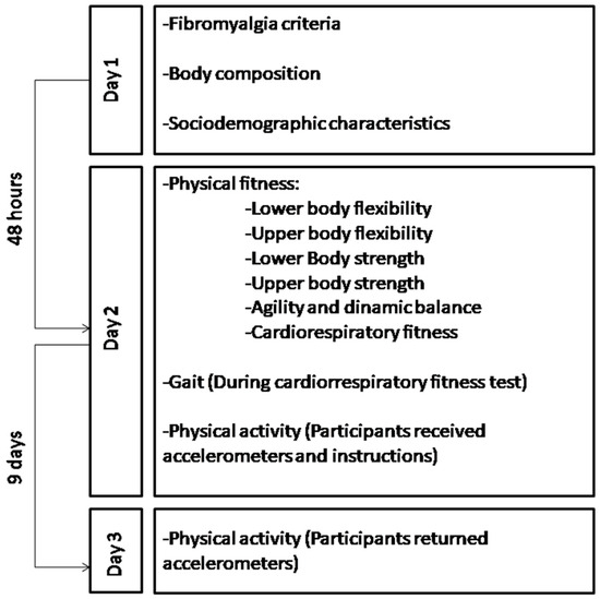 Association of Moderate-to-Vigorous Physical Activity, Sedentary Time, Fat Percentage, and ...