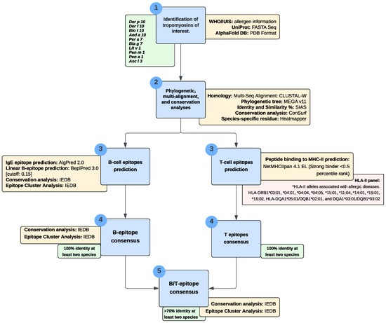 Toward Consensus Epitopes B and T of Tropomyosin Involved in Cross ...