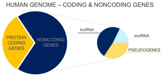 lncRNA Biomarkers of Glioblastoma Multiforme