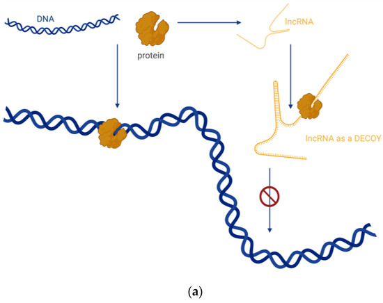 lncRNA Biomarkers of Glioblastoma Multiforme