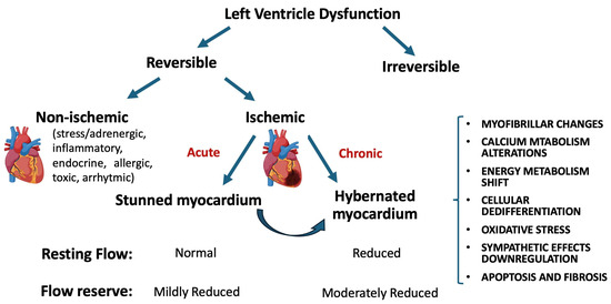 Transient Left Ventricular Dysfunction from Cardiomyopathies to ...