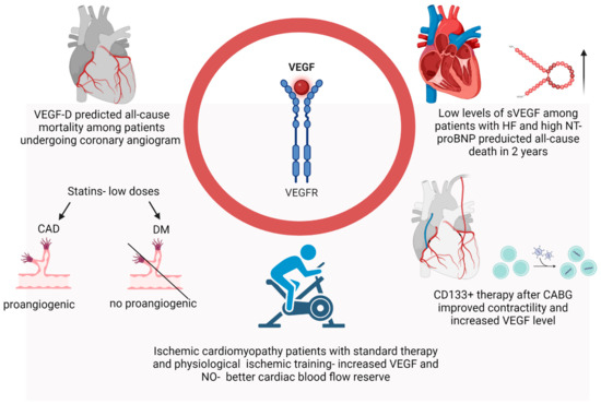 Biomedicines | Free Full-Text | Vascular Endothelial Growth Factor ...
