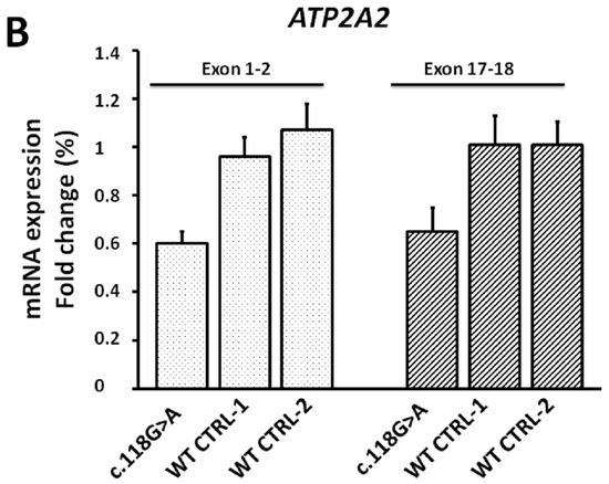 Novel ATP2A2 Gene Mutation c.118G>A Causing Keratinocyte and ...