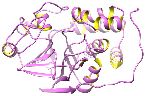 Molecular Role of Protein Phosphatases in Alzheimer’s and Other ...