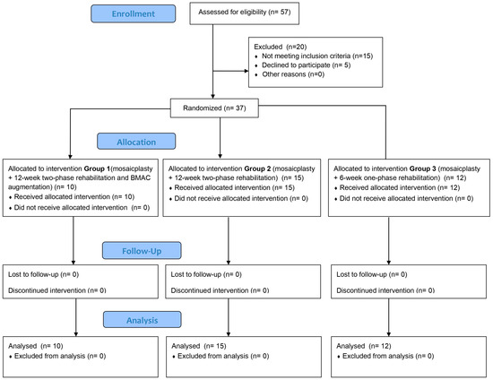 A New Approach to Postoperative Rehabilitation following Mosaicplasty ...
