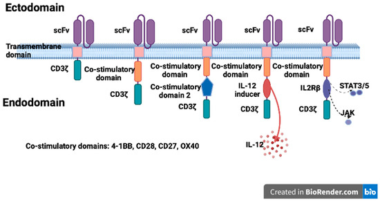 CAR-T Cells in Acute Myeloid Leukemia: Where Do We Stand?