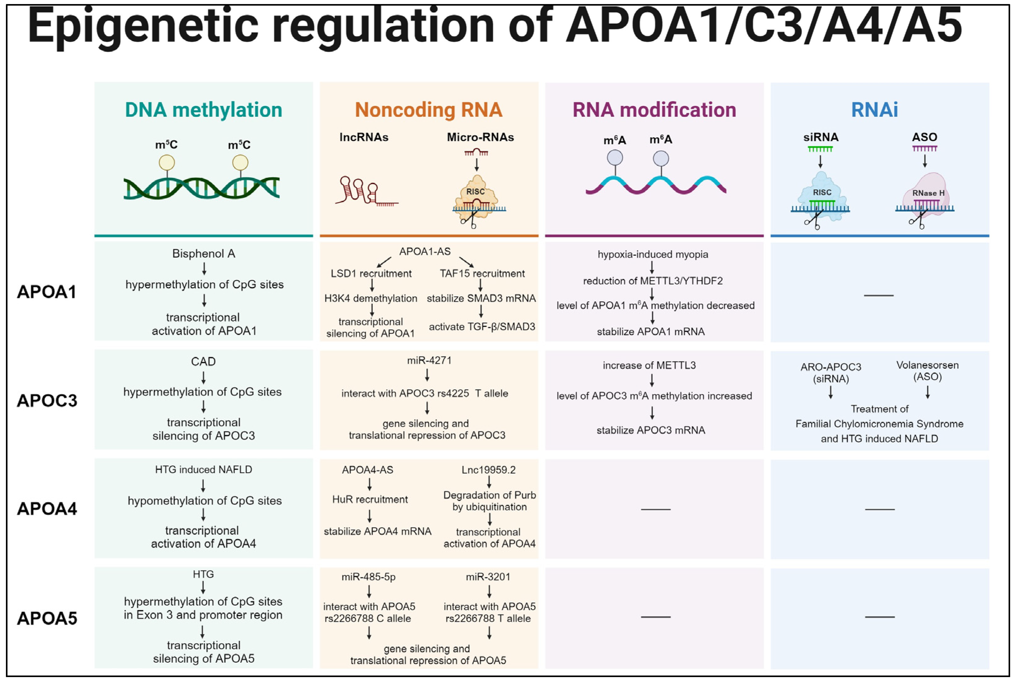 APOA1/C3/A4/A5 Gene Cluster at 11q23.3 and Lipid Metabolism Disorders ...