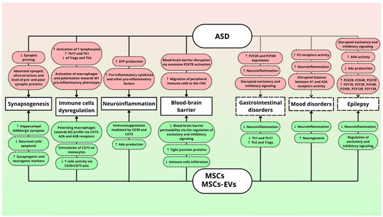 Mesenchymal Stem Cells and Purinergic Signaling in Autism Spectrum ...