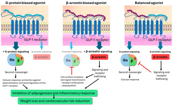 New Developments in Pharmacological Treatment of Obesity and Type 2 ...