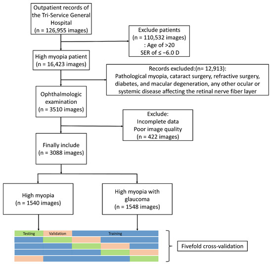 Biomedicines | Free Full-Text | Deep Learning Evaluation of Glaucoma Detection Using Fundus ...