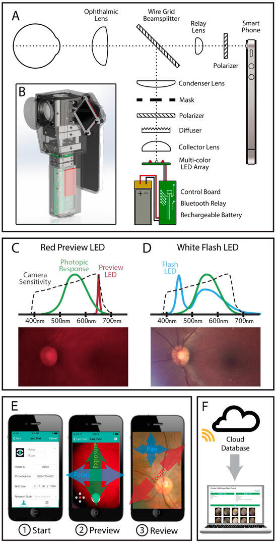 Advances in Structural and Functional Retinal Imaging and Biomarkers ...