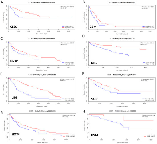 Identification and Validation of JAM-A as a Novel Prognostic and Immune ...
