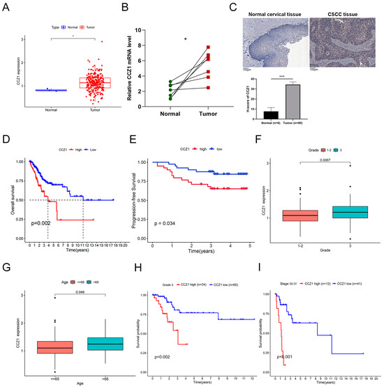 CCZ1 Accelerates the Progression of Cervical Squamous Cell Carcinoma by ...