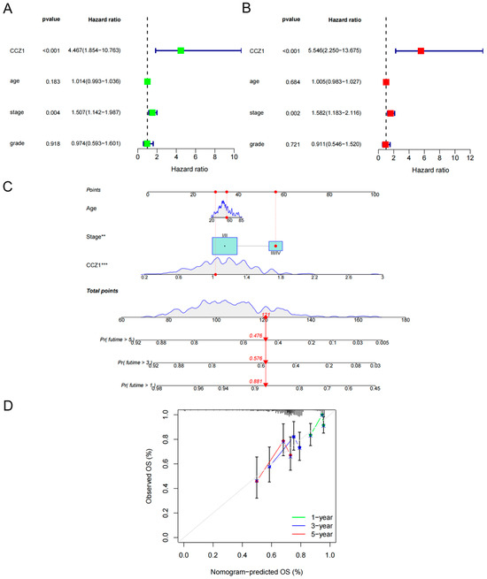 CCZ1 Accelerates the Progression of Cervical Squamous Cell Carcinoma by ...