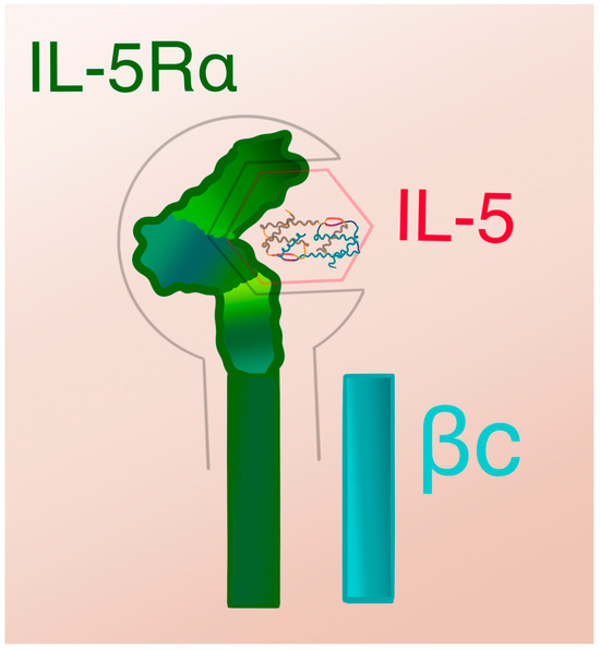 Insight into IL-5 as a Potential Target for the Treatment of Allergic ...