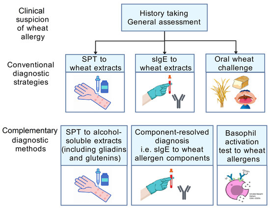 Routinely Used and Emerging Diagnostic and Immunotherapeutic Approaches ...