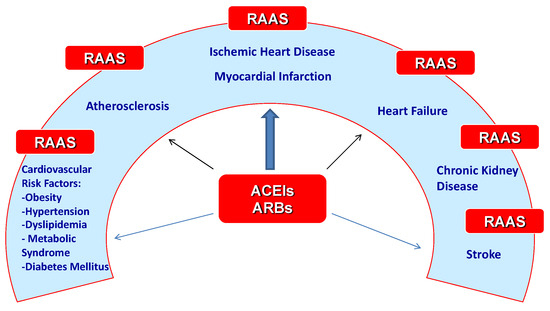 Updates on the Renin–Angiotensin–Aldosterone System and the ...