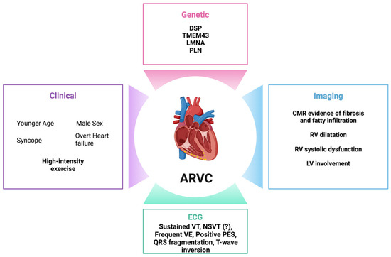 Cardiomyopathy and Sudden Cardiac Death: Bridging Clinical Practice ...