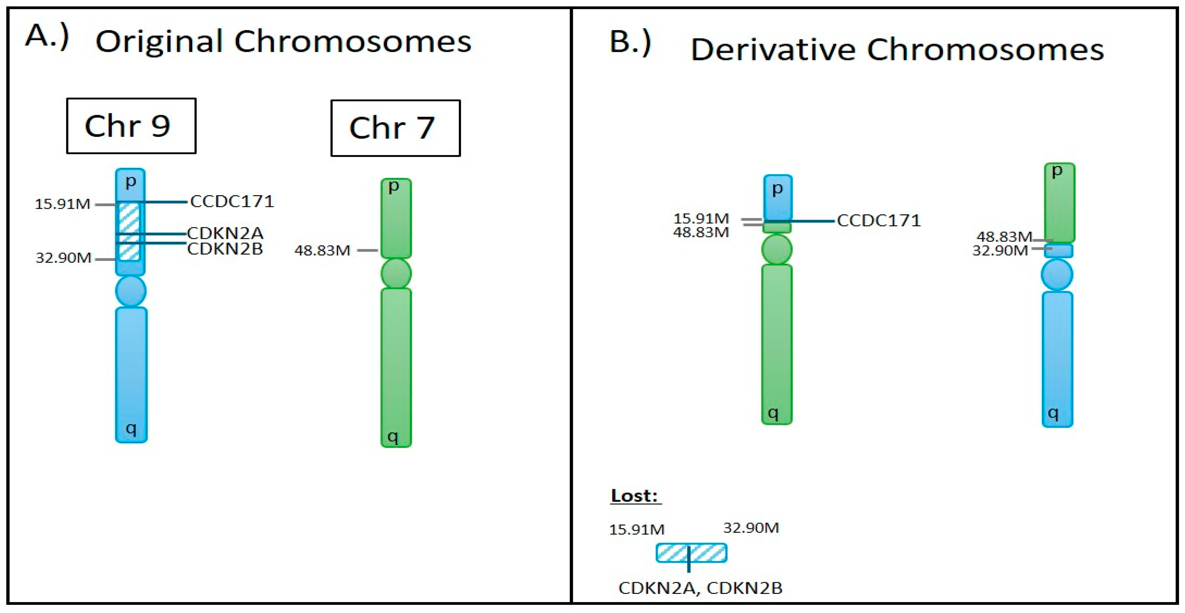 Biomedicines Free Full Text Clinical Utility Of Optical Genome