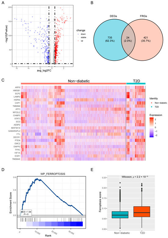 Single-Cell RNA-seq Analysis Reveals a Positive Correlation between ...