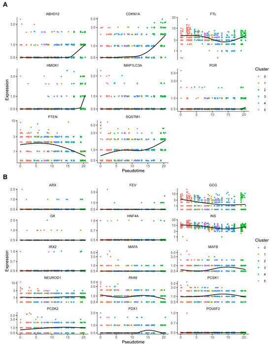 Single-Cell RNA-seq Analysis Reveals a Positive Correlation between ...