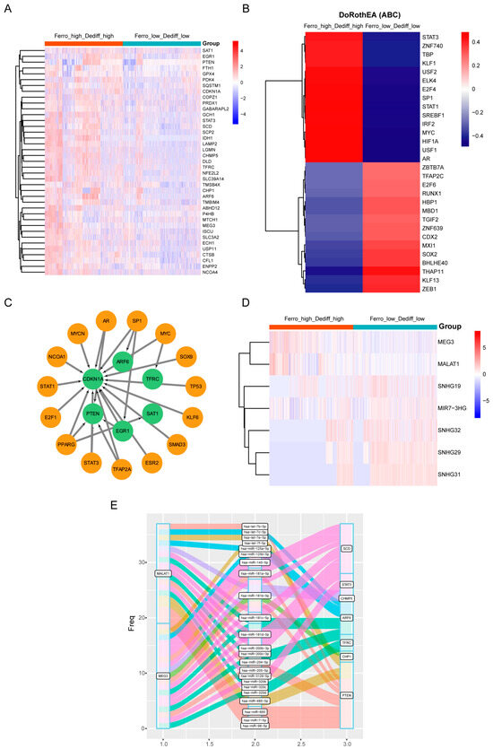Single-Cell RNA-seq Analysis Reveals a Positive Correlation between ...