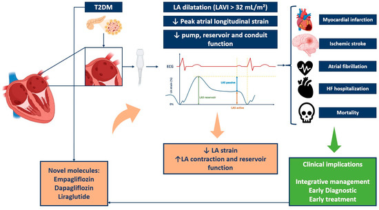 Biomedicines | Free Full-Text | Beyond Blood Sugar: How Left Atrium Strain Predicts Cardiac ...