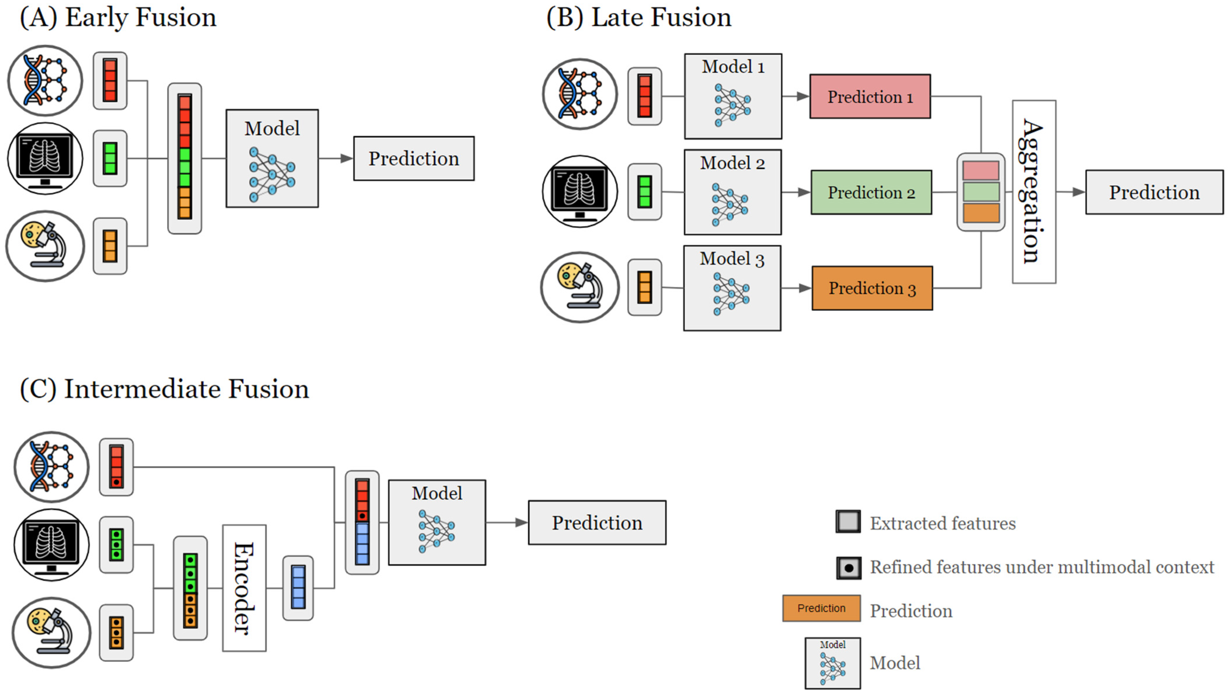 Biomedicines | Free Full-Text | Applications of Multimodal Artificial ...